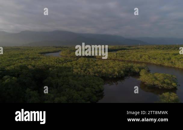 Amazon rainforest brazil aerial Stock Videos & Footage - HD and 4K ...