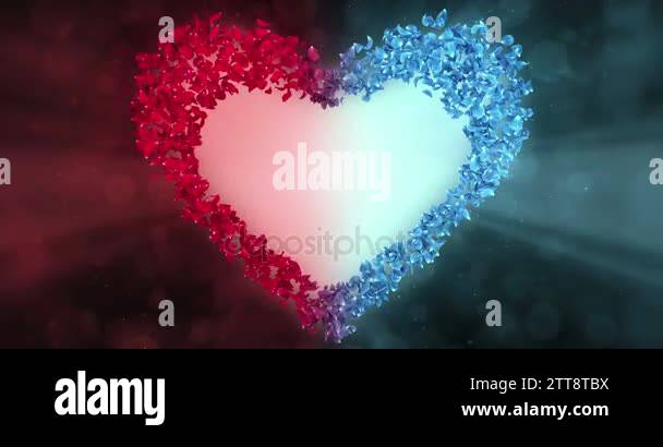 Red Blue Rose Flower Petals In Heart Shape Alpha Matte Loop Placeholder ...