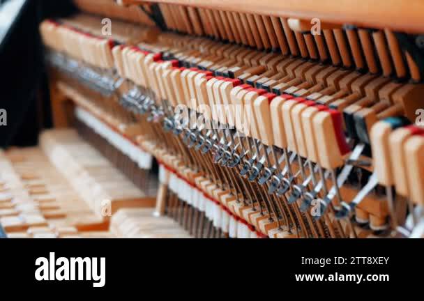 Piano mechanics Stock Videos & Footage - HD and 4K Video Clips - Alamy