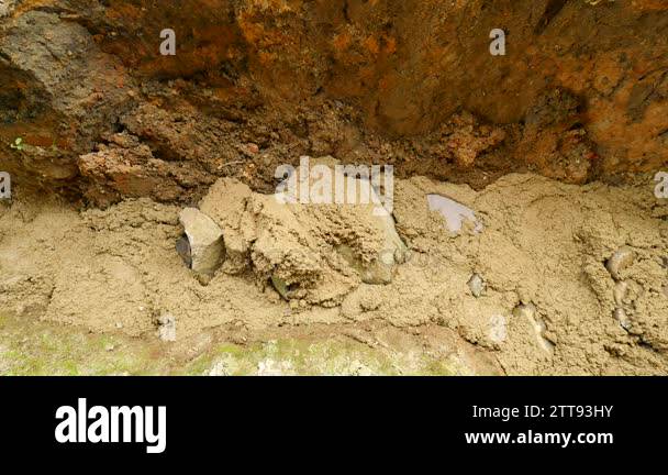 Pouring, laying concrete into foundations of the house using shovel of ...