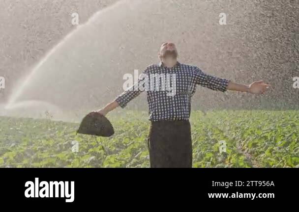 Farmer going on plantation and raises his hands up. Happy farmer ...