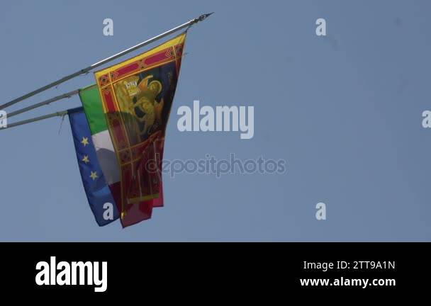 Heraldry flags Stock Videos & Footage - HD and 4K Video Clips - Alamy