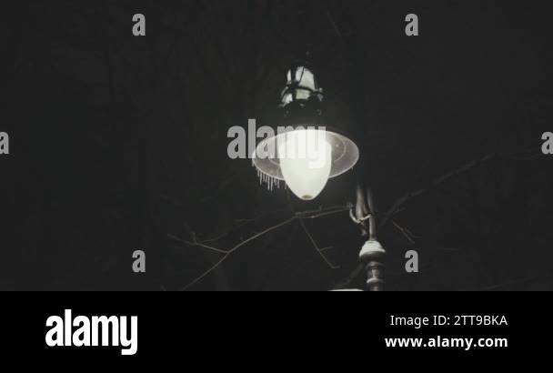 Street lighting tree Stock Videos & Footage - HD and 4K Video Clips - Alamy