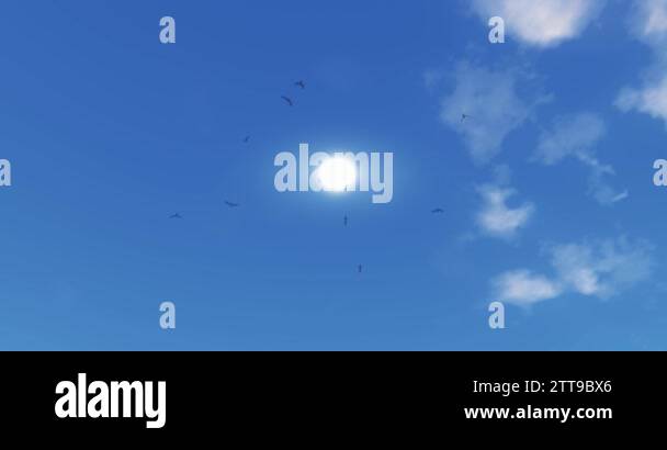 4k Seagulls Flying Over Sunlight,sun rays & cloud,Paradise scene Stock ...