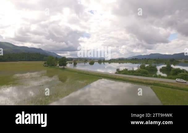 Flied Stock Videos & Footage - HD and 4K Video Clips - Alamy