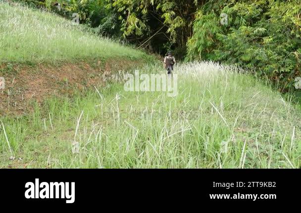 White lady flower Stock Videos & Footage - HD and 4K Video Clips - Alamy