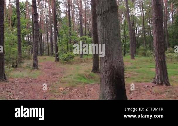 Stub track Stock Videos & Footage - HD and 4K Video Clips - Alamy