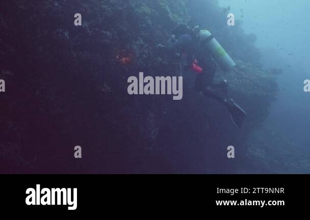 Diver man underwater sea Stock Videos & Footage - HD and 4K Video Clips ...