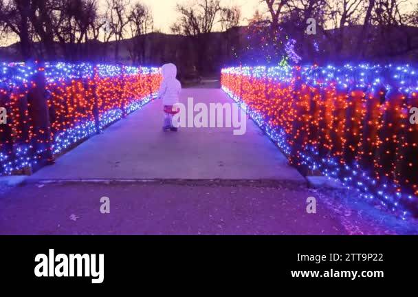 Bridge christmas lights Stock Videos & Footage - HD and 4K Video Clips ...