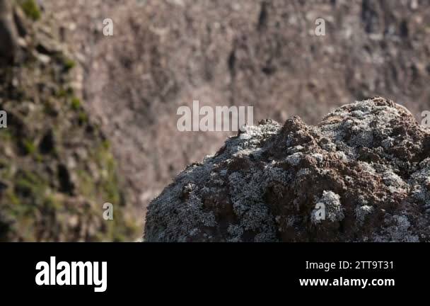 Hardened magma of Vesuvius turned into volcanic rocks, relief shown in ...