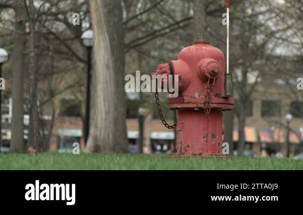 American fire hydrant Stock Videos & Footage - HD and 4K Video Clips ...