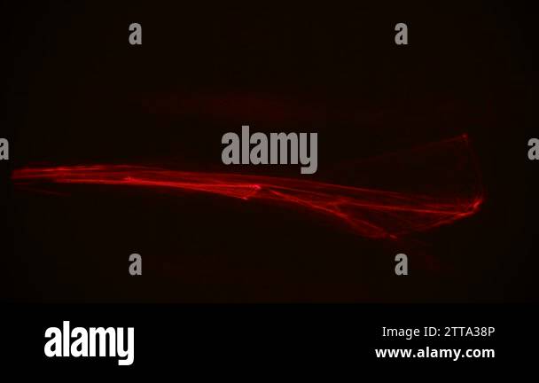 Concept of a red line on a black background for titles. Can be looped ...