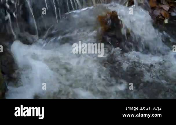 Beautiful mountain whitewater river rapids flowing through the lush ...