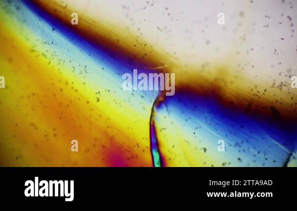 Under the light microscope Stock Videos & Footage - HD and 4K Video Clips - Alamy