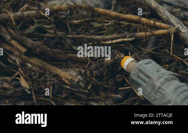 Harming nature Stock Videos & Footage - HD and 4K Video Clips - Alamy