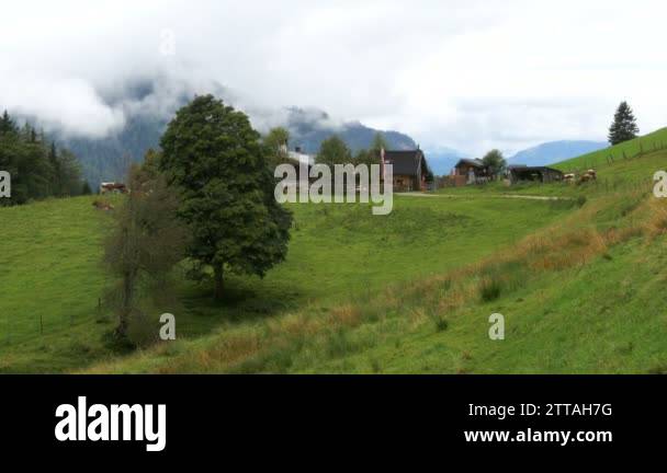 Alm house Stock Videos & Footage - HD and 4K Video Clips - Alamy