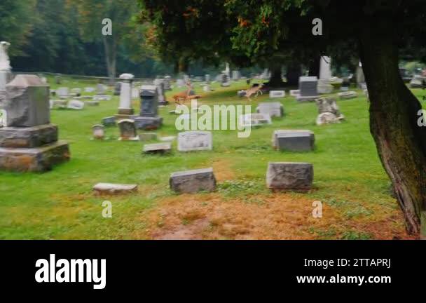 Mule sculptures Stock Videos & Footage - HD and 4K Video Clips - Alamy