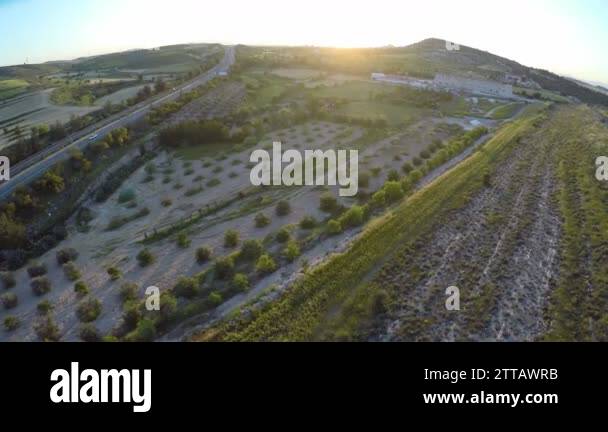 Olive oil production cyprus Stock Videos & Footage - HD and 4K Video ...