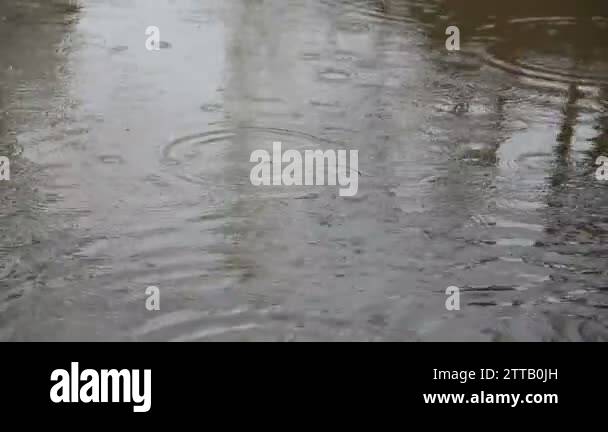 Raindrops fall Stock Videos & Footage - HD and 4K Video Clips - Alamy