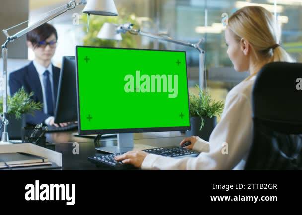 In the Office Businesswoman works at Her Desk on a Personal Computer ...