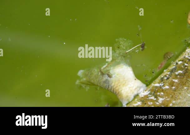 Cement tub Stock Videos & Footage - HD and 4K Video Clips - Alamy