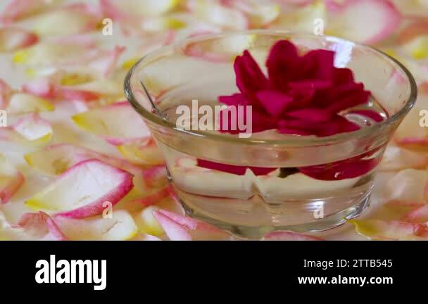 Rose water bowl Stock Videos & Footage - HD and 4K Video Clips - Alamy