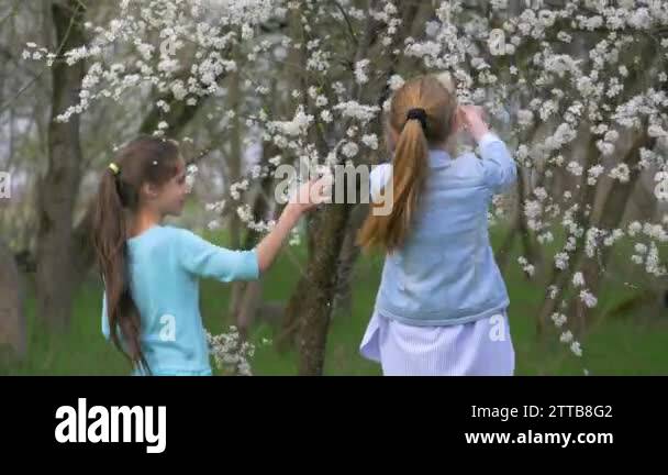 The season break Stock Videos & Footage - HD and 4K Video Clips - Alamy