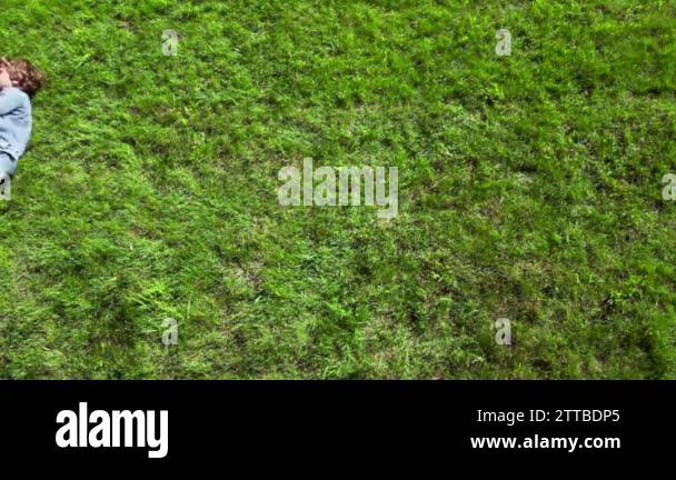 Grass plot Stock Videos & Footage - HD and 4K Video Clips - Alamy