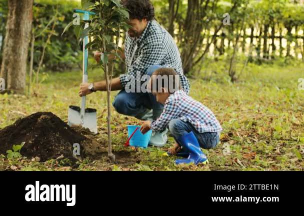 Portrait of a little boy and his dad planting a tree. Dad smiles to his ...
