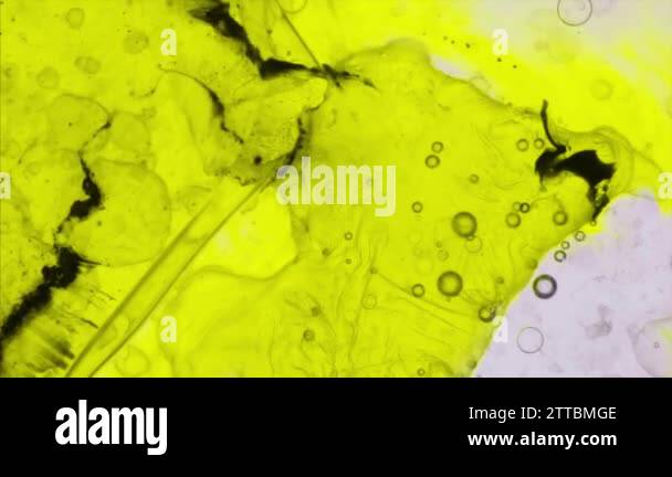 Microscopic Patterns of Colors and Paints Stock Video Footage - Alamy
