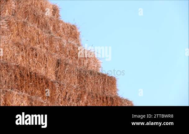 Straw pyramid Stock Videos & Footage - HD and 4K Video Clips - Alamy