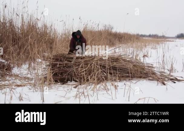Reeds furnace Stock Videos & Footage - HD and 4K Video Clips - Alamy