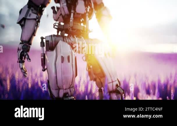Military robot, cyborg with gun in lavender field. concept of the ...