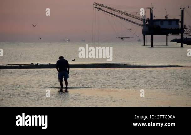 Pesce pescatore Stock Videos & Footage - HD and 4K Video Clips - Alamy