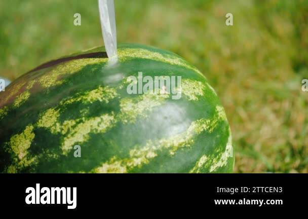 Knife makes incision on large Stock Videos & Footage - HD and 4K Video ...