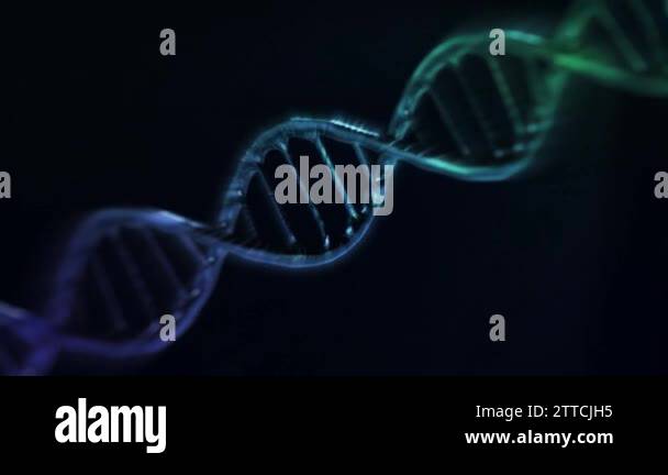 Animated DNA chain model. 3D rendering Stock Video Footage - Alamy