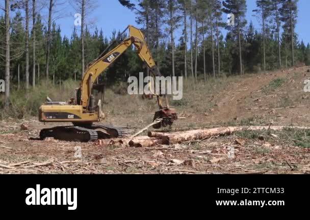 Wood handling machine Stock Videos & Footage - HD and 4K Video Clips ...