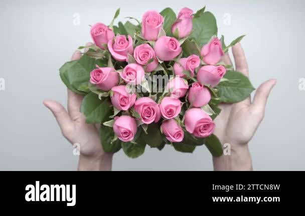 The 13 roses Stock Videos & Footage - HD and 4K Video Clips - Alamy
