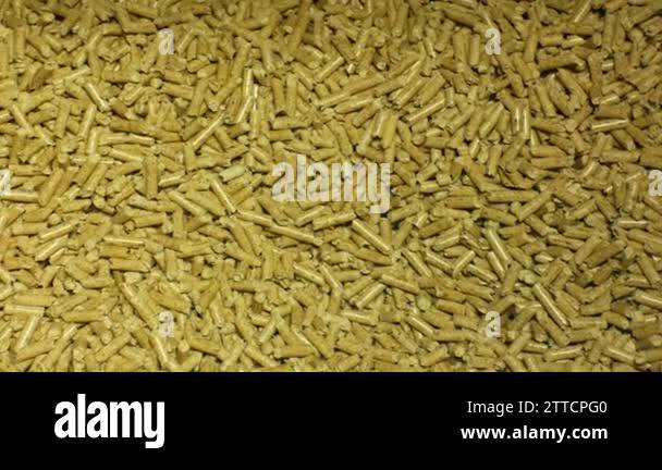 Pellets fuel with spruce sawdust into the delivery strew bio wooden ...