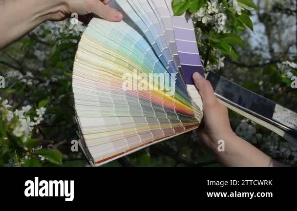 Bloom chart Stock Videos & Footage - HD and 4K Video Clips - Alamy