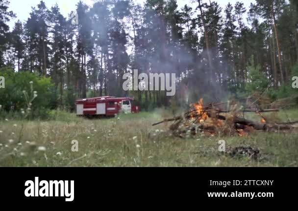 Red forest fire warning Stock Videos & Footage - HD and 4K Video Clips ...