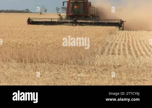 Grain farm australia Stock Videos & Footage - HD and 4K Video Clips - Alamy