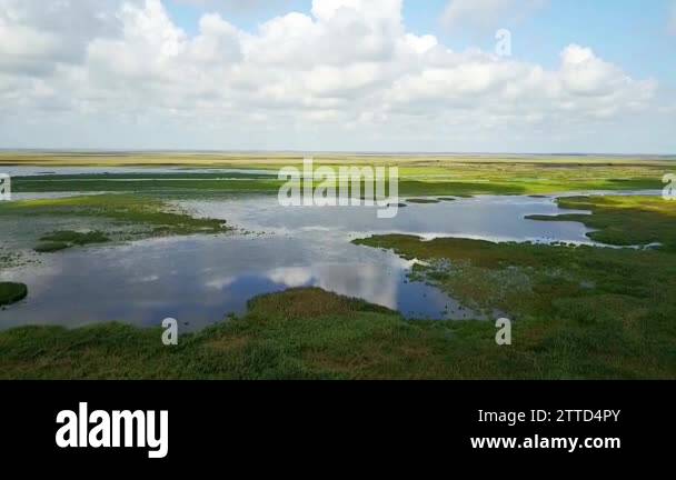 Lagoons danube Stock Videos & Footage - HD and 4K Video Clips - Alamy
