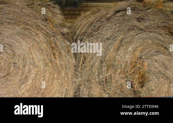 Bail hay straw agriculture Stock Videos & Footage - HD and 4K Video ...