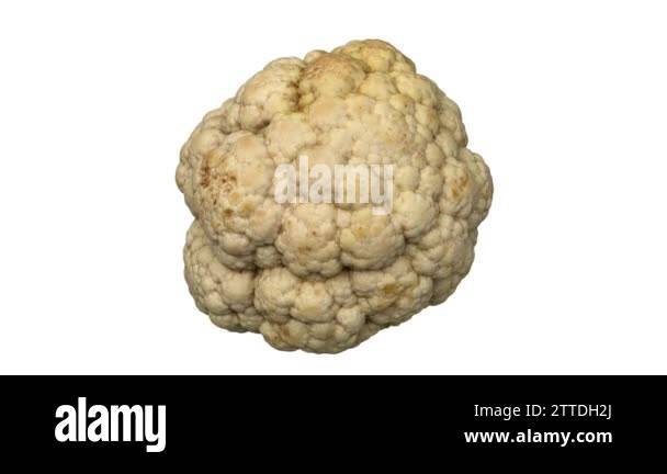 Realistic render of a rotating cauliflower head on white background ...