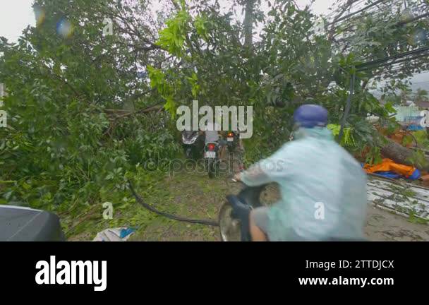 Fallen wires Stock Videos & Footage - HD and 4K Video Clips - Alamy