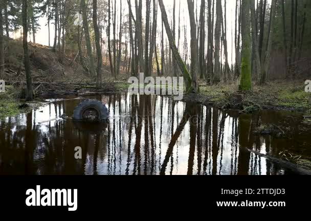 Old tyre and other garbage lies on the waterlogged river bank ...