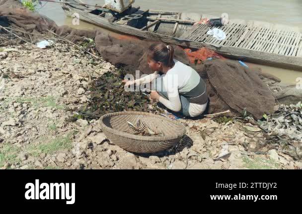 Fishing net woman Stock Videos & Footage - HD and 4K Video Clips - Alamy