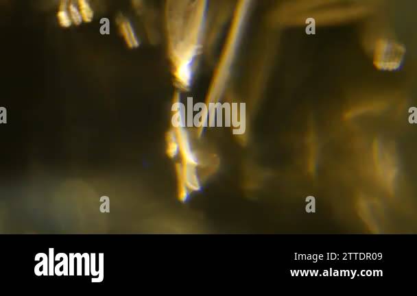 Film Burn Footage.Light pulses and glows. beautiful light leak in Ultra ...