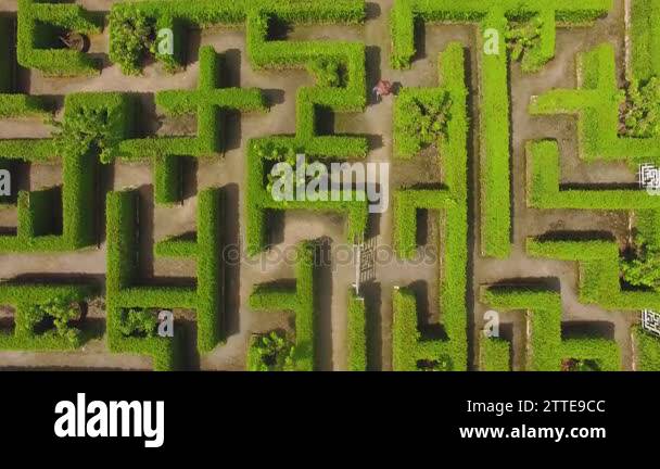 Green maze pattern Stock Videos & Footage - HD and 4K Video Clips - Alamy